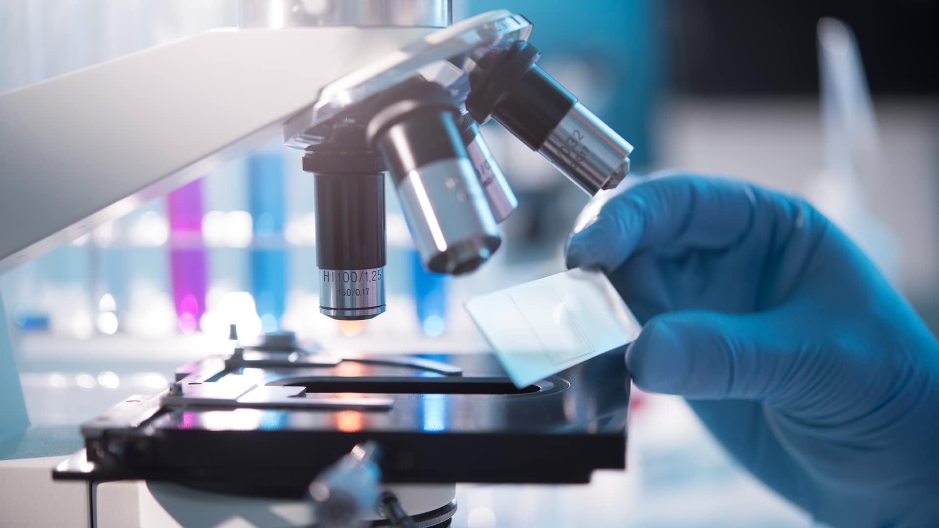 Zetpil Official Website | Zetpil Nutritional Supplements & Suppositories